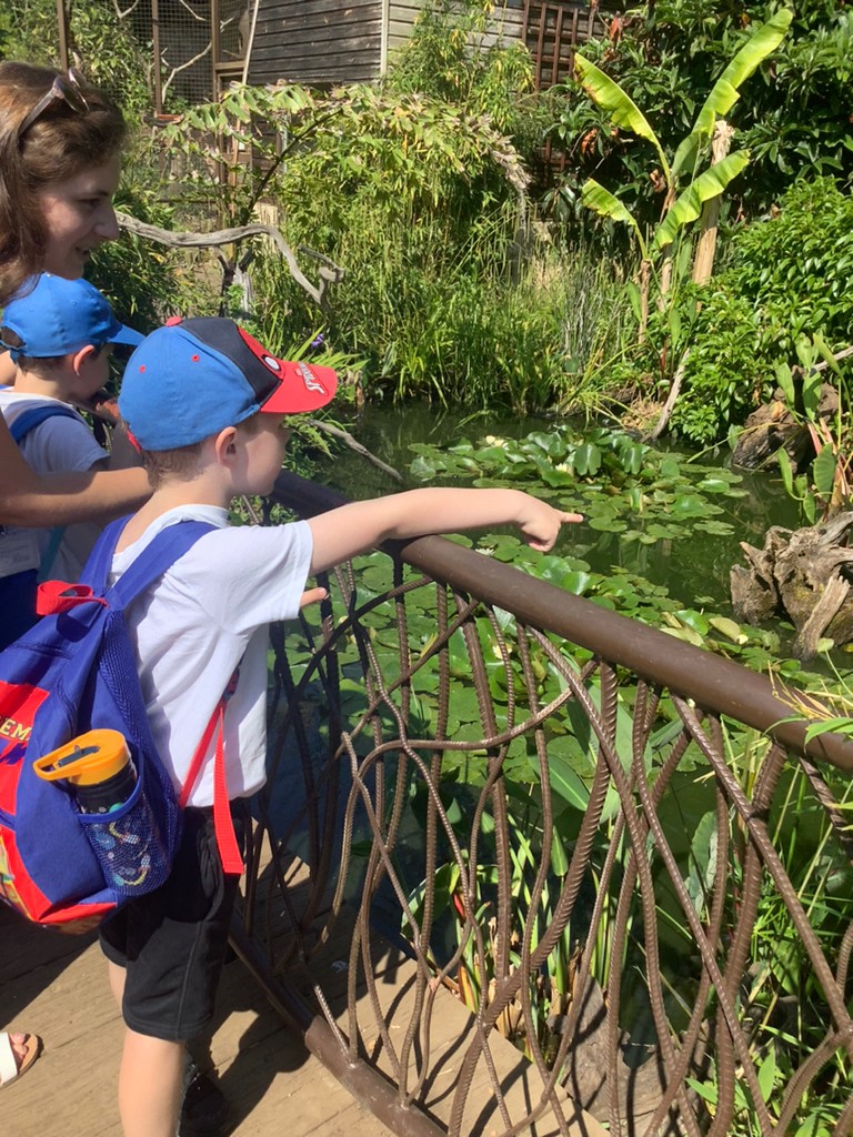 The Early Years at Staverton - Staverton CE Primary School