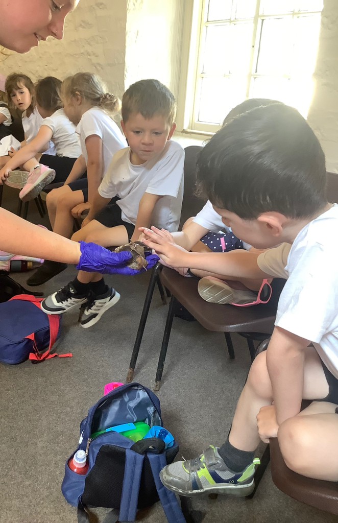 The Early Years at Staverton - Staverton CE Primary School